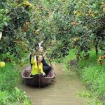 Mekong Delta 1 day "My Tho-Ben Tre" with BBQ lunch - Value and practical considerations