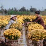 Mekong Delta 3 Days 2 Nights - Tt Holiday (New Year Holiday) - Who Will Love This Tour?