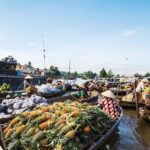 Mekong Delta & Cai Rang Floating Market 2-Day Tour from HCM City - Final Thoughts: Is It Worth It?