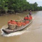 Mekong Delta Cycling Trip Including Cai Be - Who Will Love This Tour?