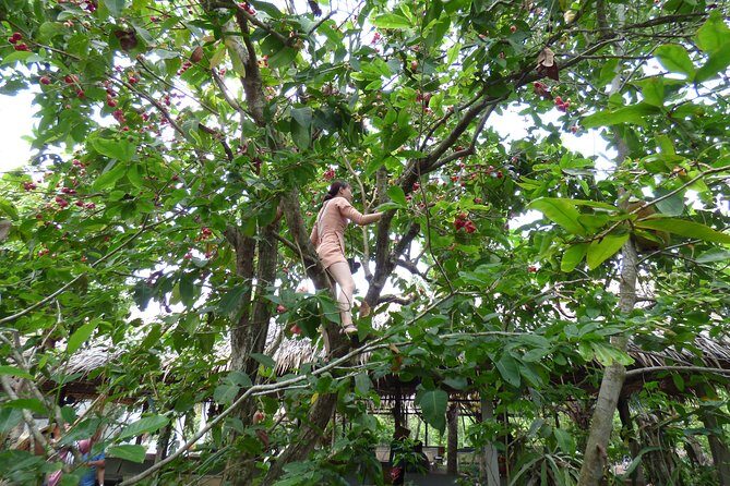 Mekong Delta exploring full day Trip - FAQs about the Mekong Delta Full-Day Trip