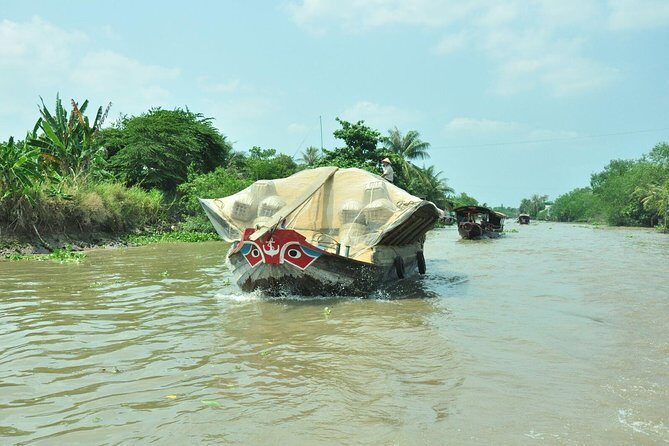 Mekong Delta Private Tour from Ho Chi Minh Ports-Shore Excursion - What Makes This Tour Stand Out?
