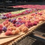 Mekong Delta Tour 2-Day (SaDec  Can Tho - My Tho - Ben Tre) - Final Thoughts