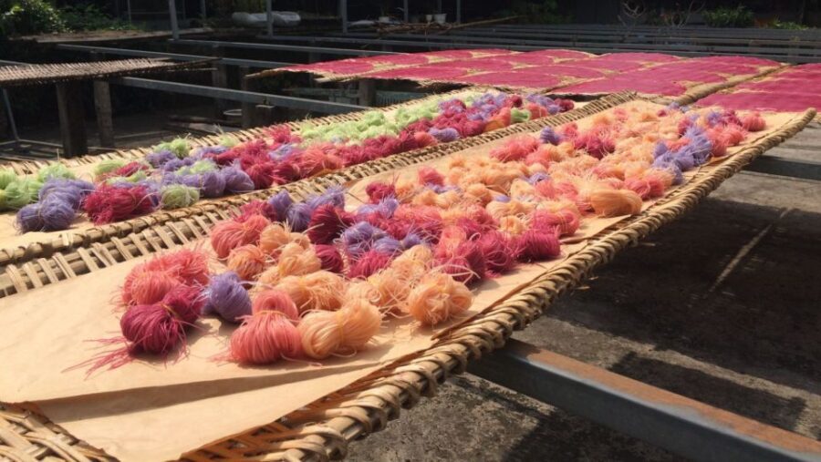 Mekong Delta Tour 2-Day (SaDec  Can Tho - My Tho - Ben Tre) - Final Thoughts