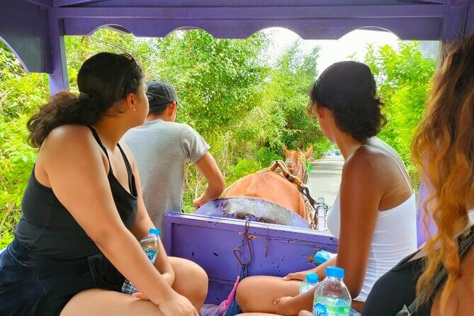 Mekong Delta Tour Daily - Why the Tour Works Well for Travelers