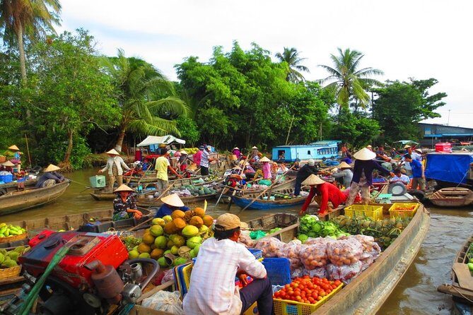 Mekong Delta Tour from Phu My Port - What to Expect at Each Stop
