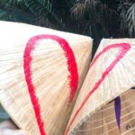 Mekong with biking private tour - Who Is This Tour Perfect For?