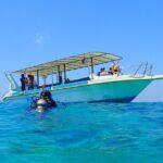 Menjangan island for Certified Scuba Divers full day boat trip, 2 dives + lunch - Why Choose This Tour?