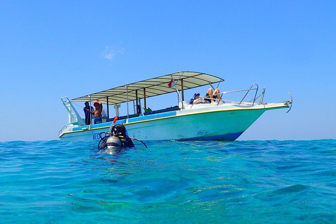 Menjangan island for Certified Scuba Divers full day boat trip, 2 dives + lunch - Why Choose This Tour?
