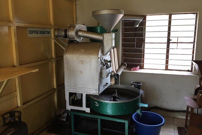 Mercara Gold Coorg Coffee and Spice Estate Tour - Practical Details and Tips