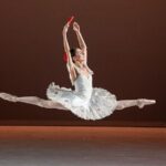 Mexico Authentic Folk Ballet Xochimilco and Coyoacán - Walk through the Artistic and Bohemian Streets of Coyoacán