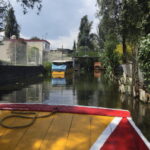 Mexico City: Frida Kahlo, Coyoacán, and Xochimilco Day Tour - What We Loved (and What to Keep in Mind)