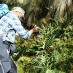 Mexico City: Guided Volcano Trek with Lunch - Practical Details and What to Prepare