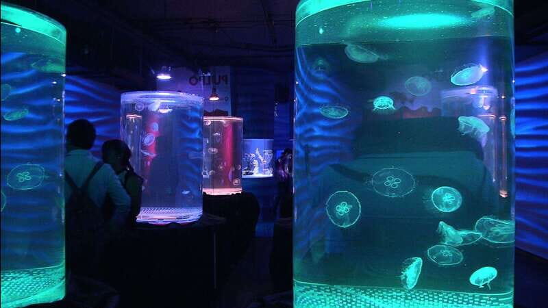 Mexico City: Inbursa Aquarium optional Round trip transfer - The Transportation & Logistics
