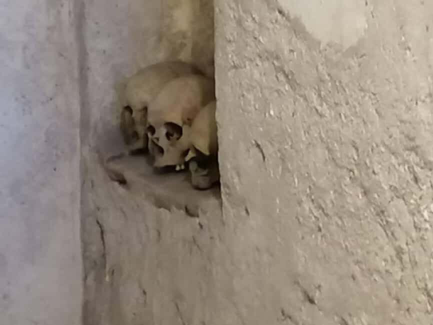 Mexico City: Museum of El Carmen Tour with Ticket - What Travelers Say