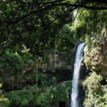 Mexico City: Raft to Rushing Waters and Visit Cuernavaca - The Lunch Break: Tasting Local Flavors