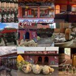 Mezcal Oaxaca: Tour, Gastronomy and Mezcal Tasting - A Deep Dive into the Day’s Highlights