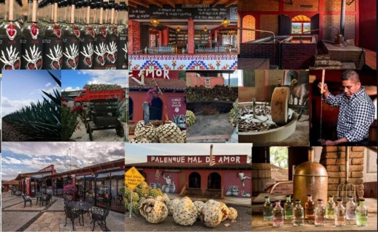 Mezcal Oaxaca: Tour, Gastronomy and Mezcal Tasting - A Deep Dive into the Day’s Highlights