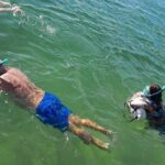 Miami: Snorkel adventure & Sandbar Trip - A Closer Look at the Tour Experience