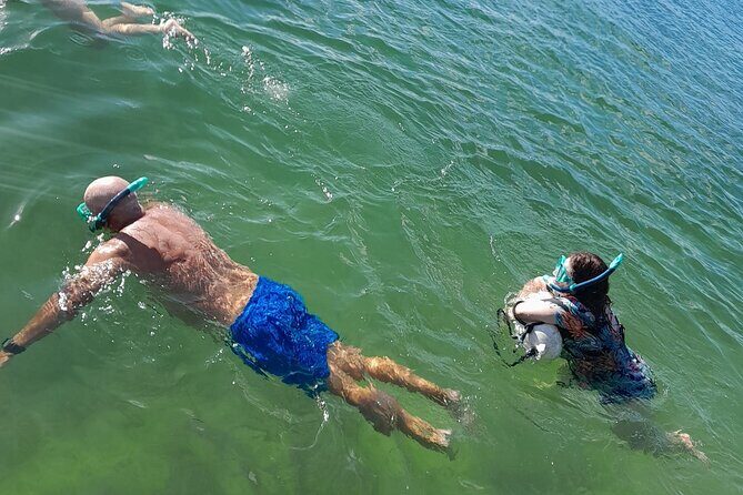 Miami: Snorkel adventure & Sandbar Trip - A Closer Look at the Tour Experience