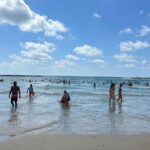 Miami: Snorkeling Adventure Small Group from Miami - Transportation and Practical Details