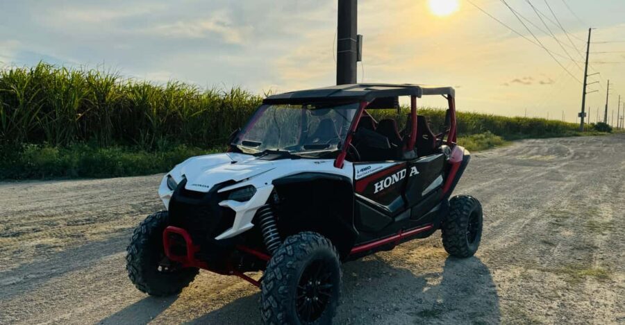Miami's Ultimate Buggy Adventure on a Honda Talon UTV - Who Will Love This Tour?