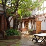 Michinoku Coastal Trail to Miyako SUP with Lunch - Who Will Love This Tour?