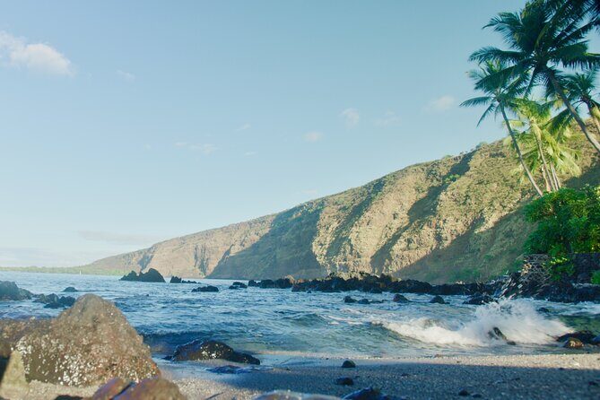 Midday Meander - Kealakekua Bay Kayak and Snorkel Adventure - Discovering Kealakekua Bay: The Itinerary in Detail