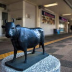 Mie: Matsusaka Beef Gourmet Tour- Taste Japans Finest Wagyu - The Art of Wagyu: What Makes Matsusaka Beef Unique?