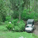 Million Dollar Point 4x4 Private Tour (Sunrise or Sunset) - What Travelers Say