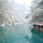 Mini Group Day Tour to Zhangjiajie Forest Park & Avatar Mountains - What You Gain from This Tour