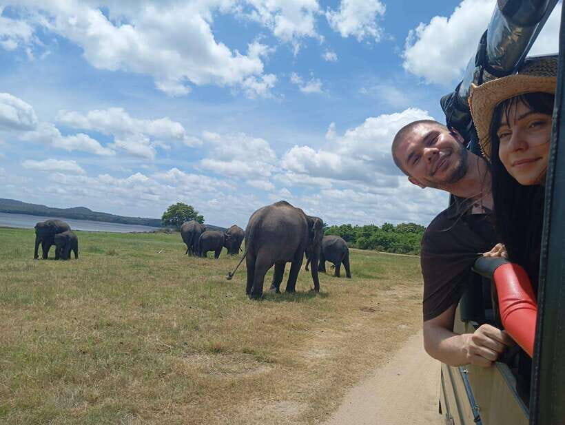 Minneriya: Half-Day Morning or Evening Jeep Safari - Cost and Value