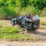 Minneriya National Park Entrance Ticket with Private Safari - The Itinerary: Exploring Minneriya’s Habitat and Wildlife