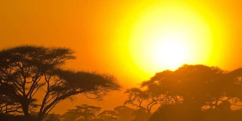 Minneriya National Park Safari in a 4x4 Vehicle - Who is This Safari Best For?