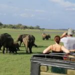 Minneriya Safari Tour from Sigiriya - A Closer Look at the Itinerary