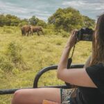 Mirissa to Ella Shuttle & Safari Drive (Breakfast included) - The Itinerary in Detail: What You Can Expect