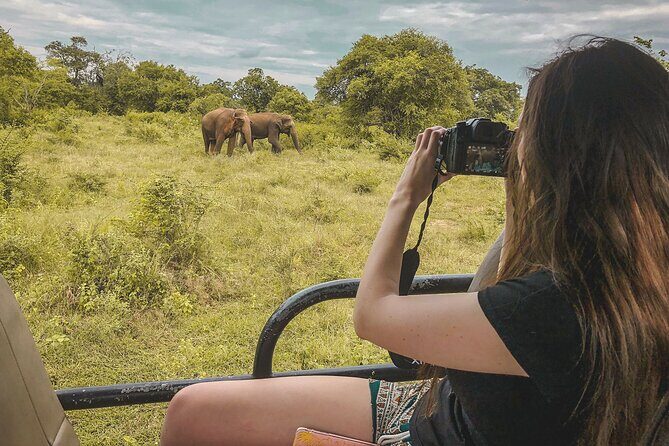 Mirissa to Ella Shuttle & Safari Drive (Breakfast included) - The Itinerary in Detail: What You Can Expect