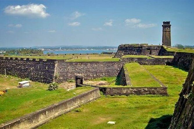 Mirissa Whale watching, Stilt Fishing & Turtle Tour From Colombo - Second Stop: Mirissa Whales – More Time for Marine Life