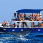 Mirissa Whale Watching, Tour A Once-in-a-Lifetime Experience - An Honest Look at the Mirissa Whale Watching Tour