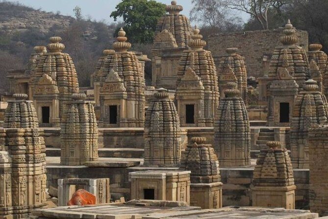 Mitawali, Padawali & Bateshwar Temple (Day excursion from Gwalior) - What Makes This Tour Stand Out?