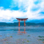 Miyajima Private History Tour (Half Day) - The Value of Visiting Miyajima with a Guide