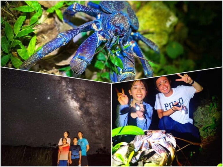 Miyako Island: Stars & Jungle Night Walking Tour - Why This Tour Offers Real Value