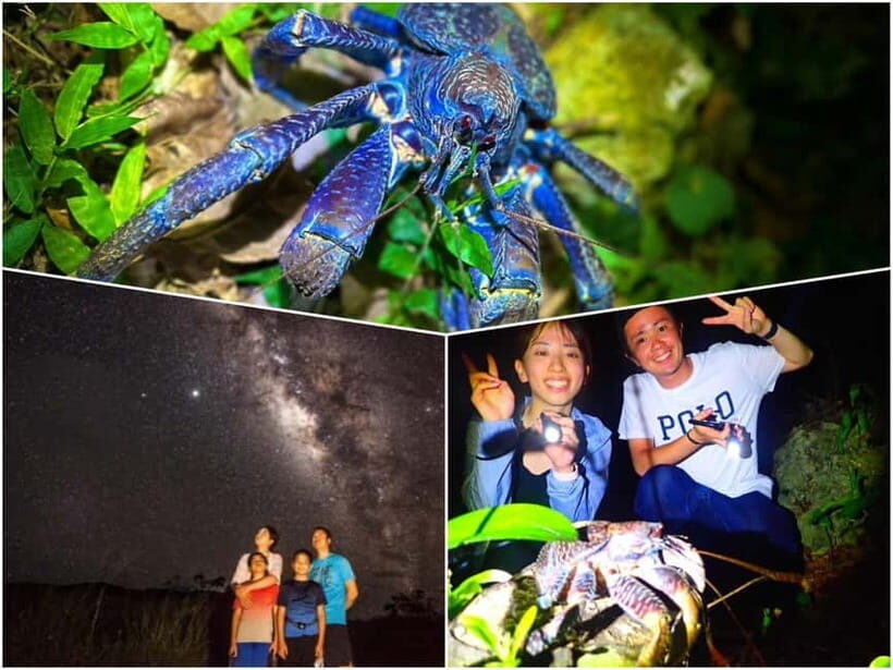 Miyako Island: Stars & Jungle Night Walking Tour - Why This Tour Offers Real Value