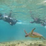 [Miyakojima Snorkel] Private tour from 2 people Let's look for sea turtles! Snorkel tour that can be enjoyed from 3 years old - FAQ