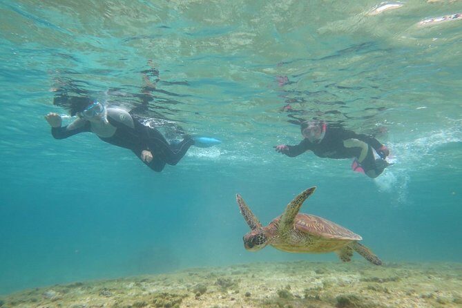 [Miyakojima Snorkel] Private tour from 2 people Let's look for sea turtles! Snorkel tour that can be enjoyed from 3 years old - FAQ