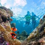 Miyakojima / Snorkel tour to enjoy coral and fish - Reviews: What Participants Say