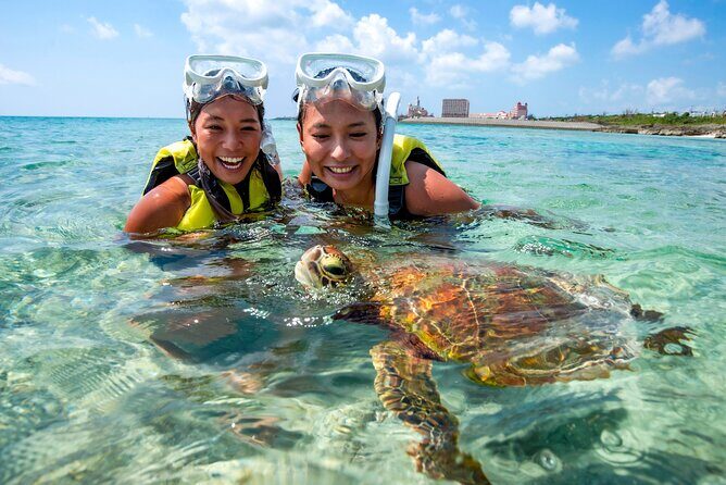 Miyakojima / Snorkel tour to swim with sea turtles - Key Points