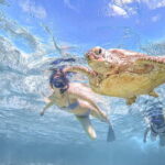 Miyakojima: SUP and Snorkeling- Two Activities in One Day - Why You Might Love This Tour