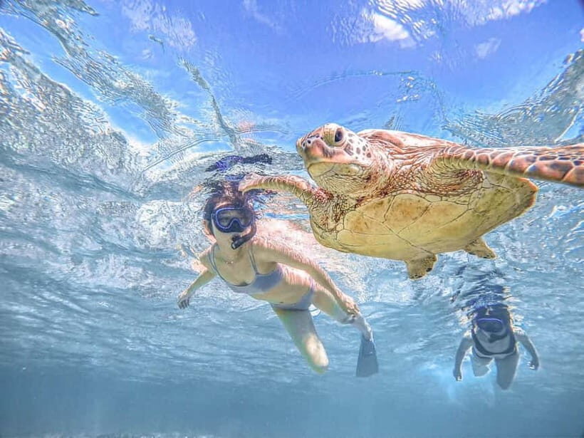 Miyakojima: SUP and Snorkeling- Two Activities in One Day - Why You Might Love This Tour