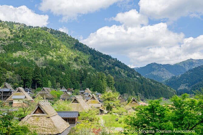 Miyama Kayabuki no Sato 1 Day Tour from Osaka or Kyoto - Who is This Tour Best For?